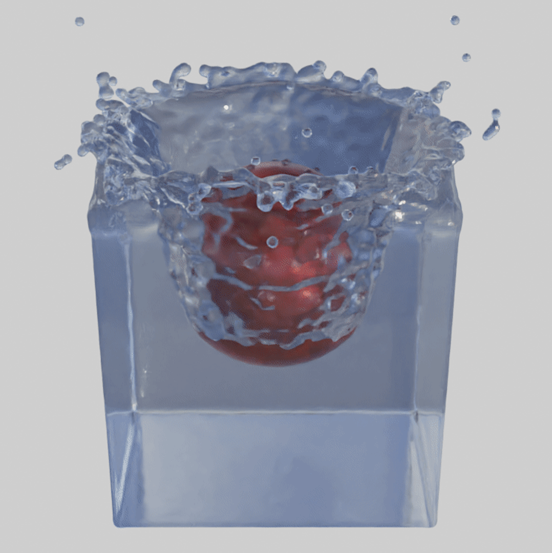 Julia for Particle-Based Multiphysics with TrixiParticles.jl :: Juliacon 2024 :: pretalx